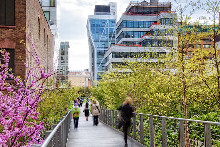 Hotel in Midtown NYC | Mayfair Hotel NYC